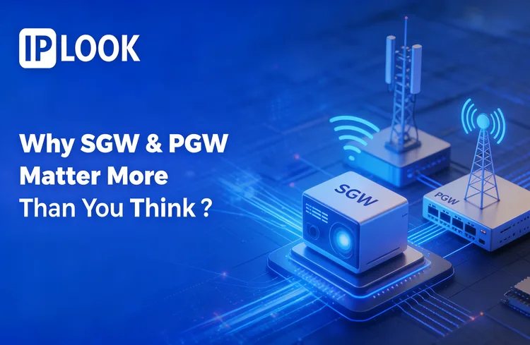 Why SGW & PGW Matter More Than You Think？ - IPLOOK
